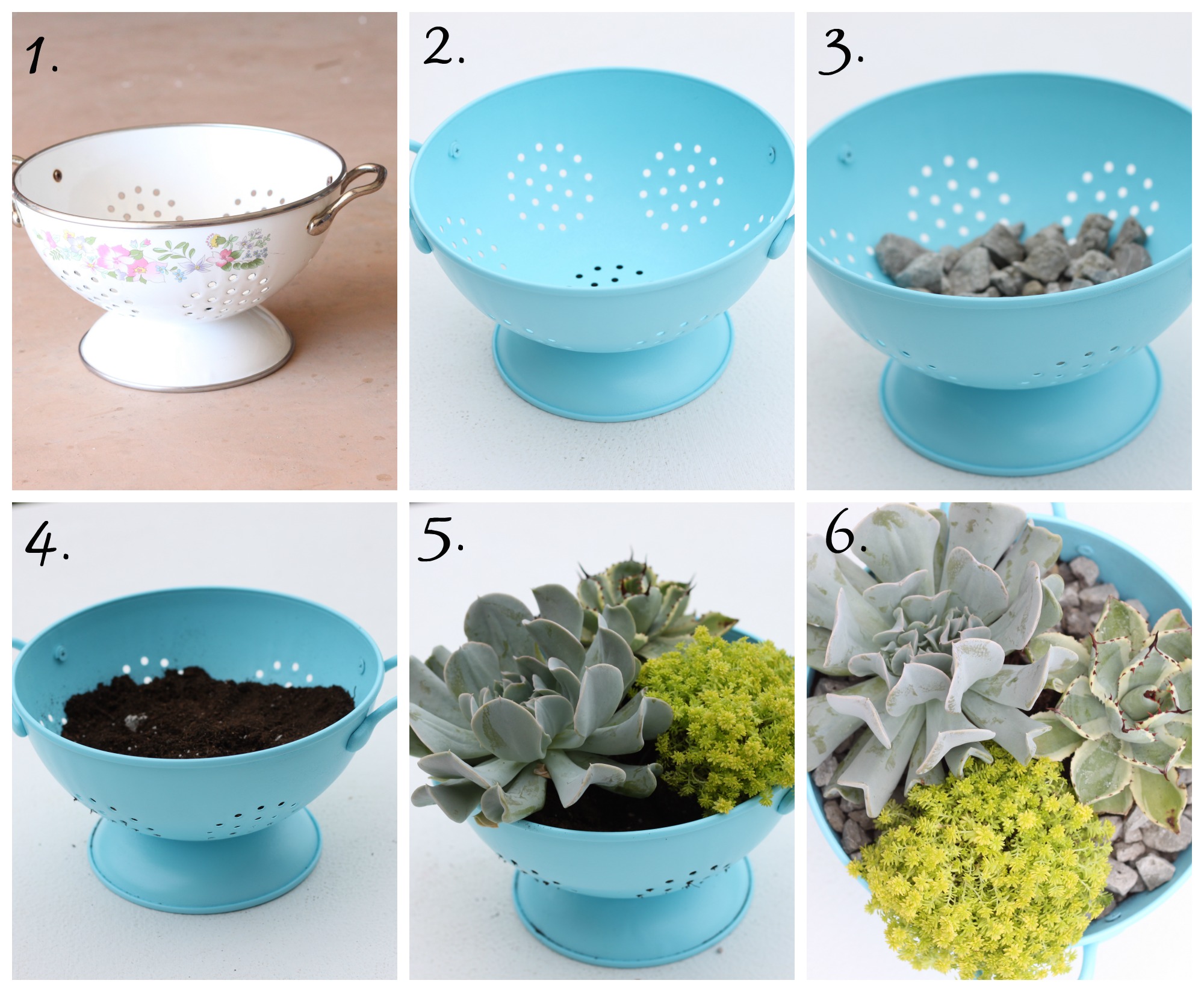 Colander Planter with Succulents - House by Hoff