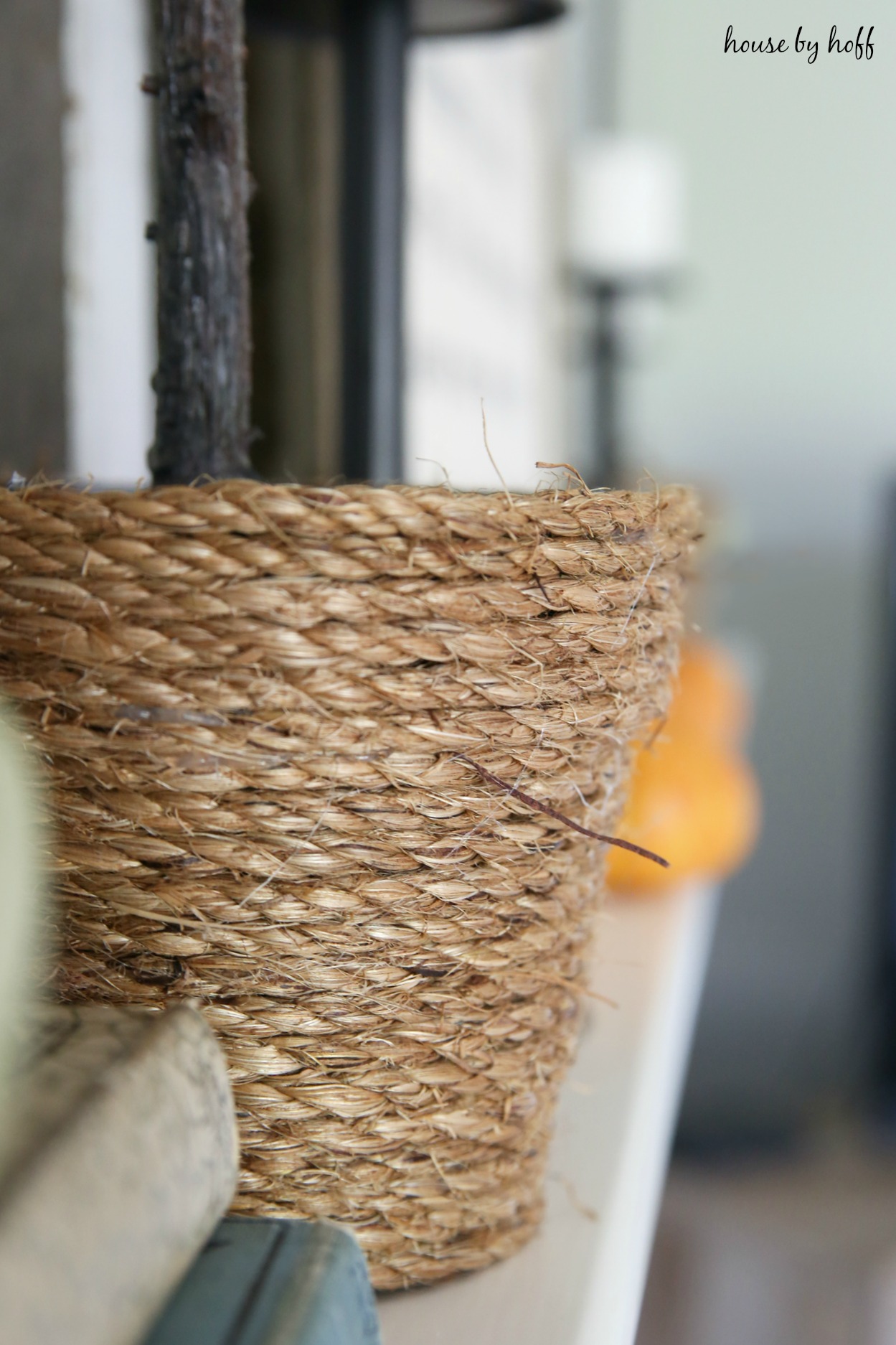Rope-Wrapped Ikea Topiaries - House by Hoff