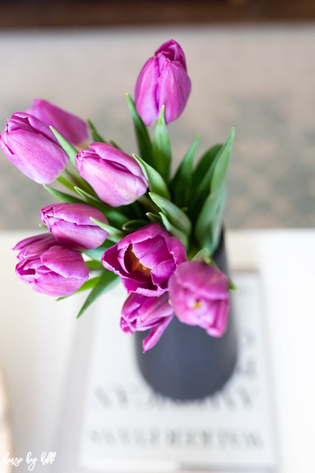 Touches of Spring in the Living Room - House by Hoff